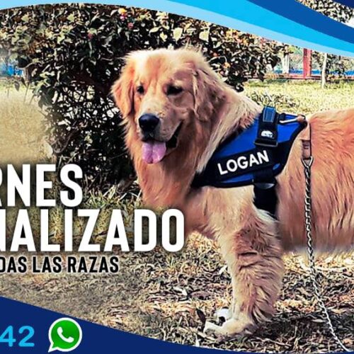 Breeder – Accesorios Premium para Mascotas