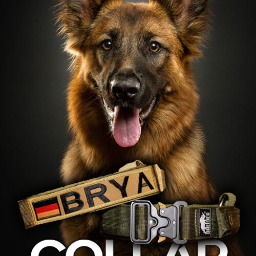 Breeder – Accesorios Premium para Mascotas