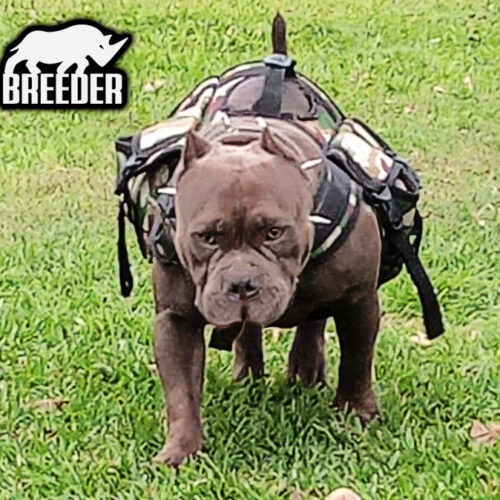 Breeder – Accesorios Premium para Mascotas