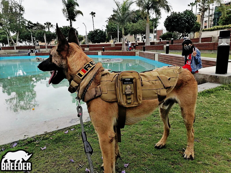 Chaleco Táctico Breeder – Breeder