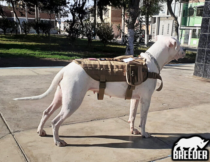Chaleco Táctico Breeder – Breeder