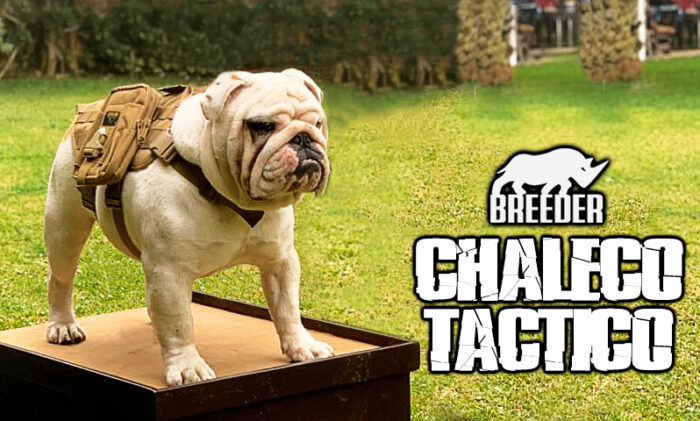 Chaleco Táctico Breeder – Breeder
