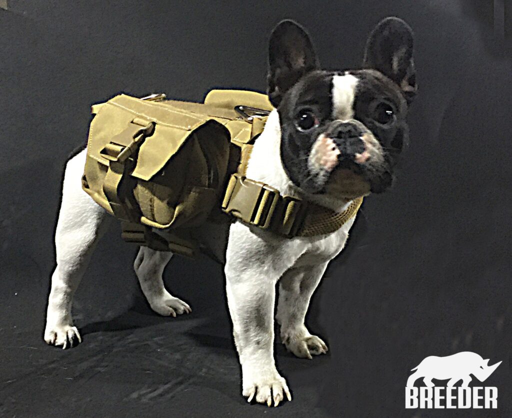Chaleco Táctico Breeder – Breeder