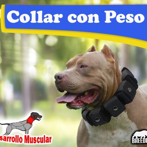 Breeder - Accesorios Premium para Mascotas
