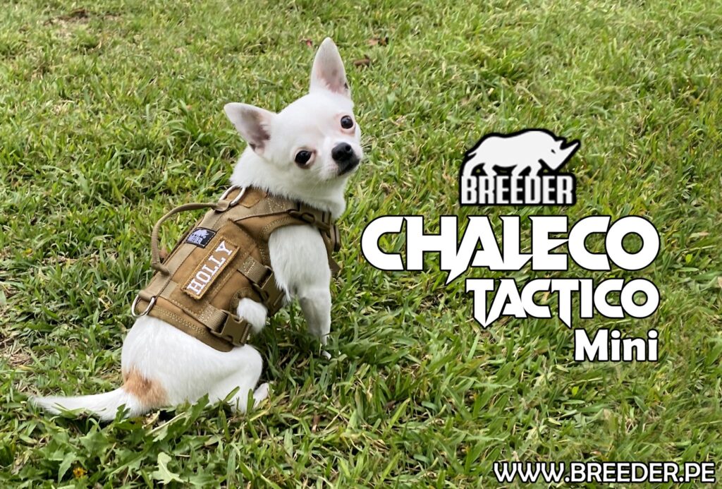 Chaleco Mini – Breeder
