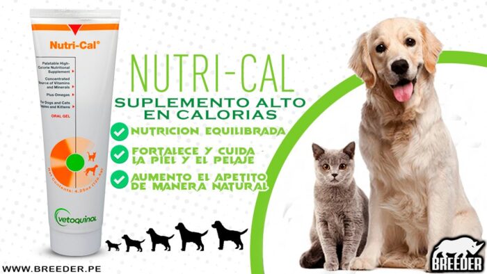 Nutri-Cal – Breeder
