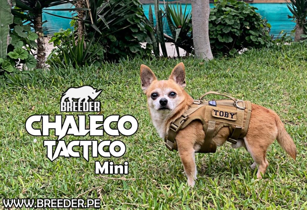 Chaleco Mini – Breeder