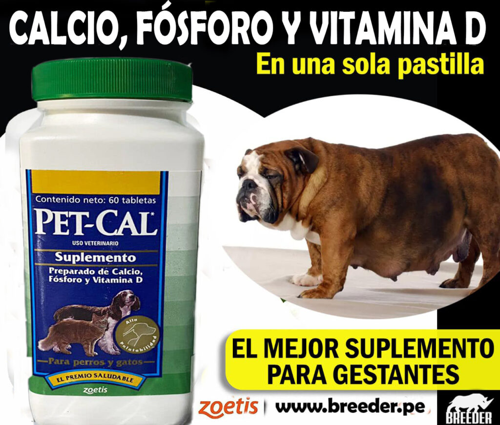PET CAL – Breeder