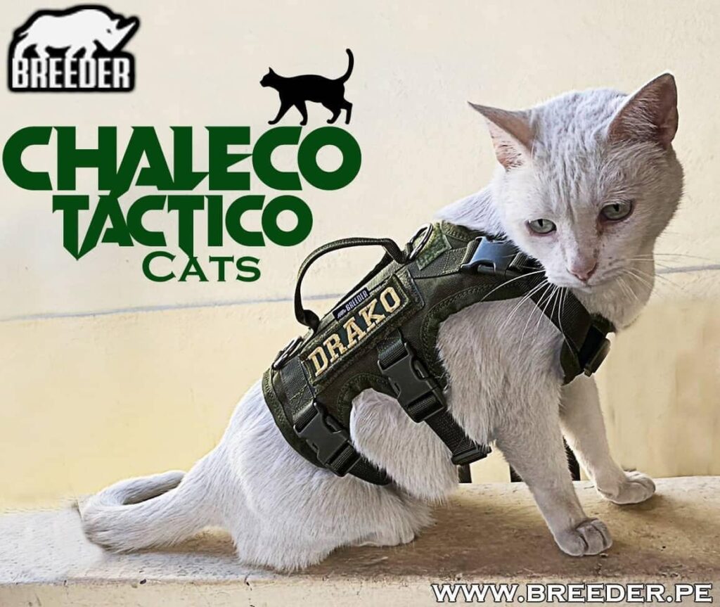 CHALECO GATO – Breeder