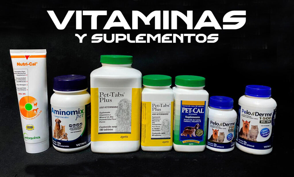 Breeder – Accesorios Premium para Mascotas