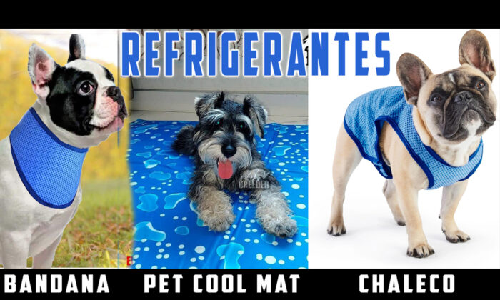 Breeder – Accesorios Premium para Mascotas